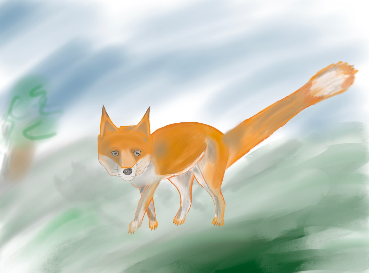 Fox With a Big Tail – nō def· i· ni· tion.ärt